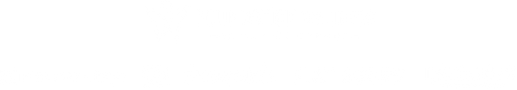 Foundation Wellness | Foot Health & Pain Relief for Healthy Living